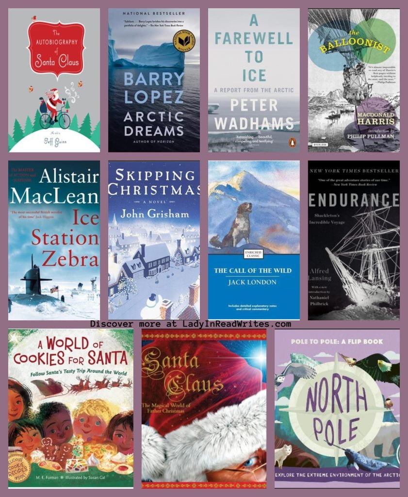 Books for Santa that We Will Love Too - Lady In Read Writes